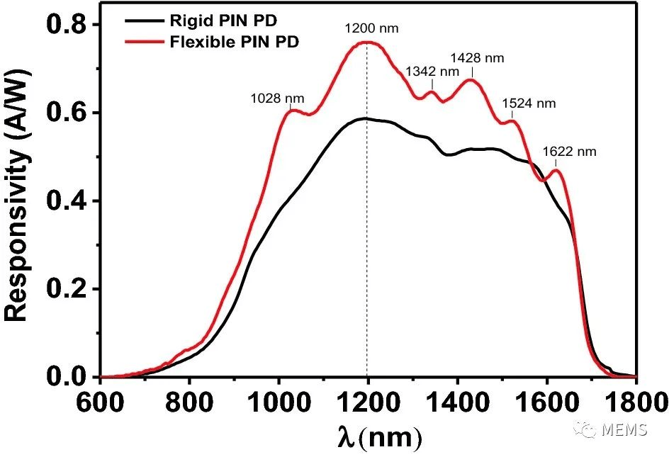 What a High Performance Photodetector With a Large Area InGaAs/InP PIN ...