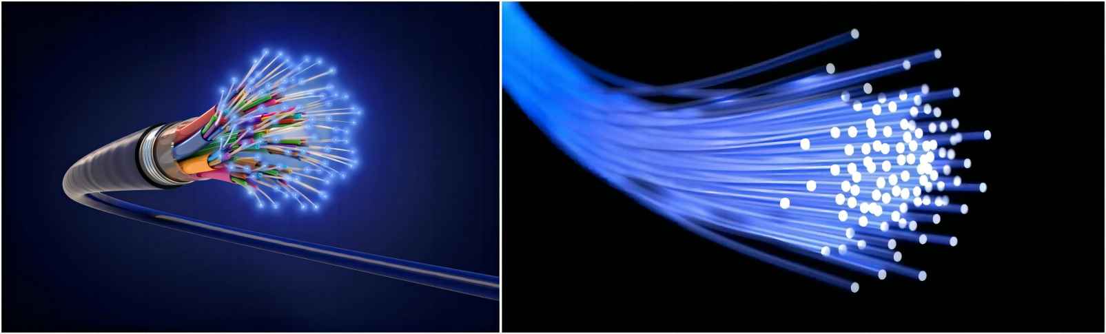Digital Signal Optical Terminals in Modern Communication Networks - NEON